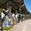 Best Golf Driving Range In Sydney | Moore Park Driving Range